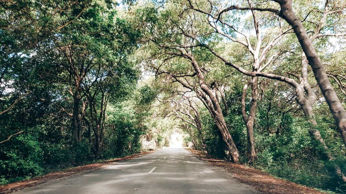 Westpunt Curaçao: hoogtepunten in een roadtrip | Kim around the World